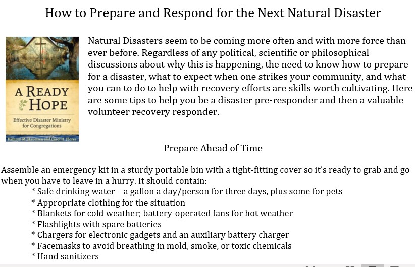 Disaster Response Tips cover pg - How Wise Then